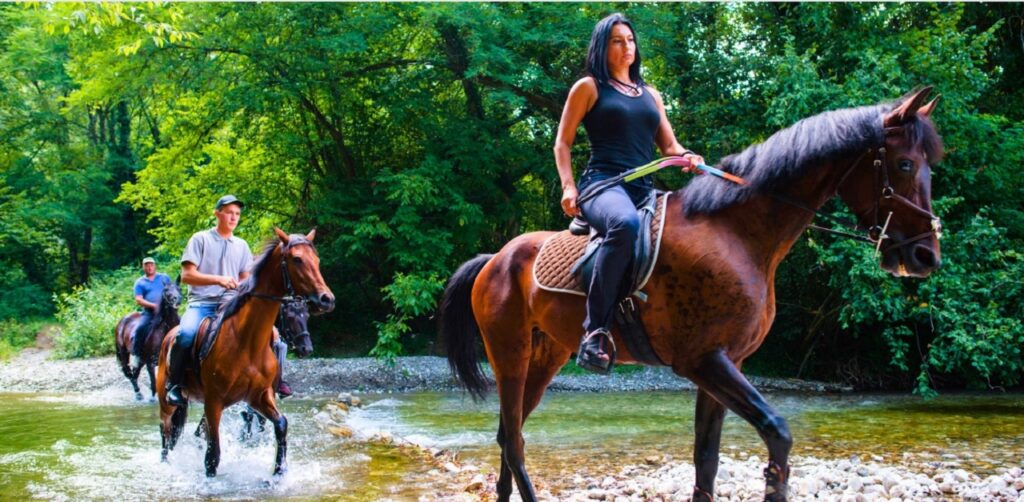 The 10 Best Blue Ridge, Georgia Horseback Riding Tours