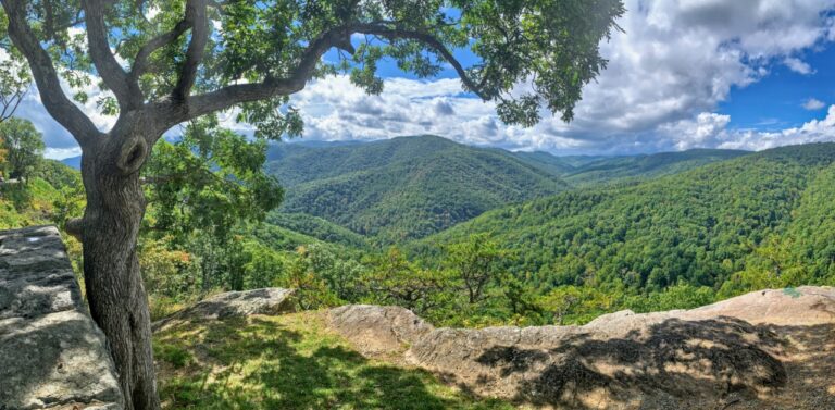 The 20 Best Blue Ridge Parkway Overlooks in Virginia - Blue Ridge ...