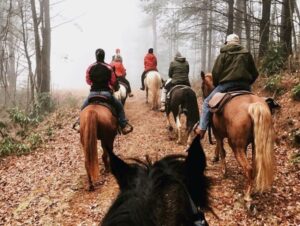 The 10 Best Blue Ridge, Georgia Horseback Riding Tours