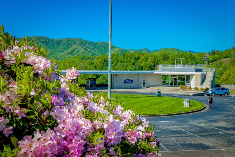 The 10 Best Things To Do in Robbinsville NC & Graham County - Blue ...