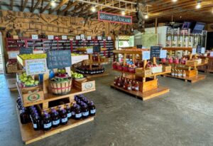 The 10 Best Apple Orchards in Ellijay, Georgia