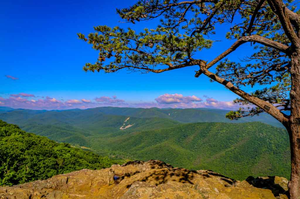 The 20 Best Overlooks on the Blue Ridge Parkway in Fall - Blue Ridge ...