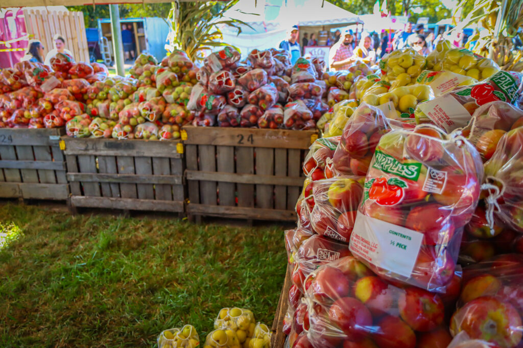Fall Fun at the Ellijay Apple Festival (aka Georgia Apple Festival)