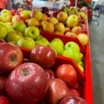 The 10 Best Places for Apple Picking in Atlanta to Visit - Blue Ridge ...