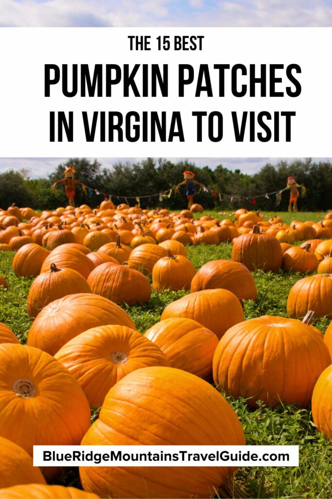 The 15 Best Pumpkin Patches in VA to Visit for 2025 - Blue Ridge ...