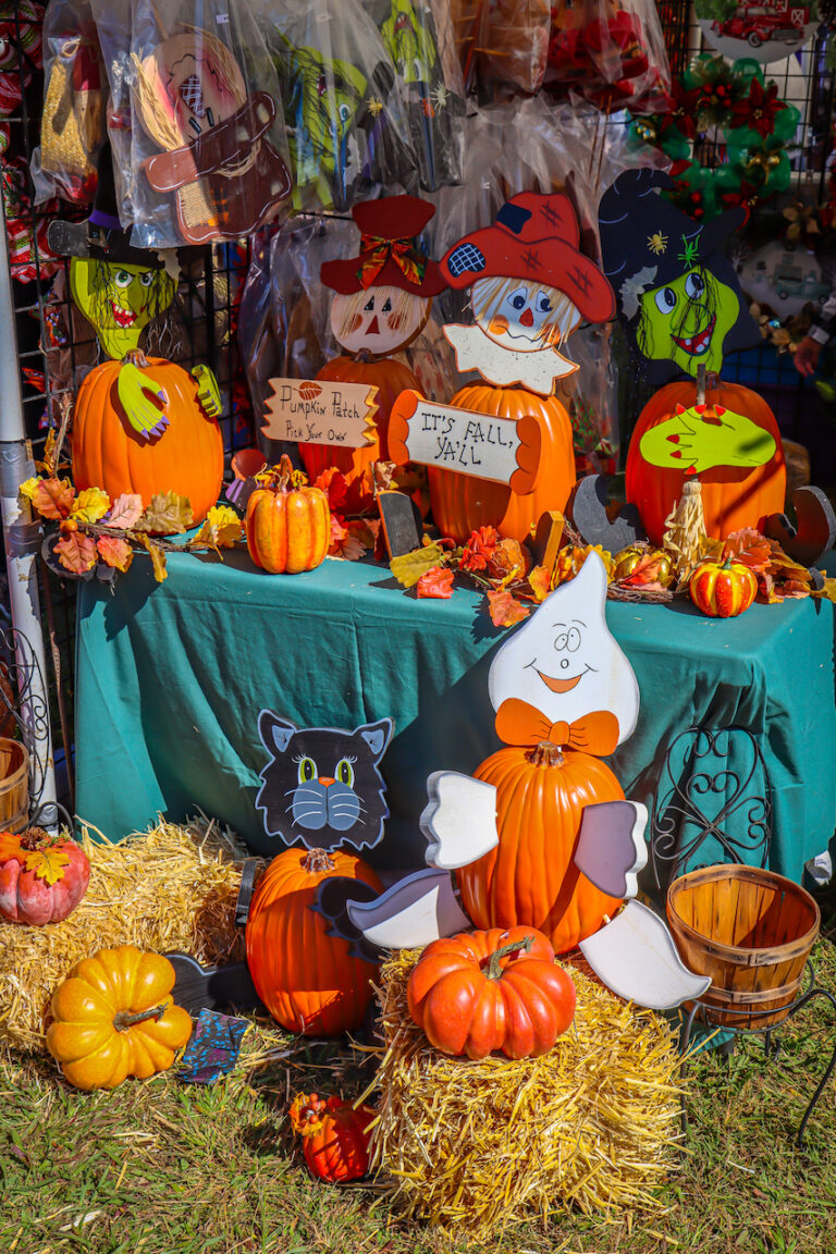 Fall Fun at the Ellijay Apple Festival (aka Georgia Apple Festival)