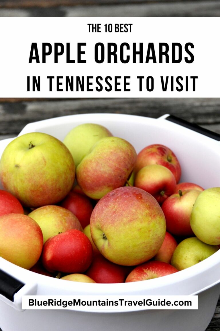 The 10 Best Apple Orchards in Tennessee for Apple Picking & More