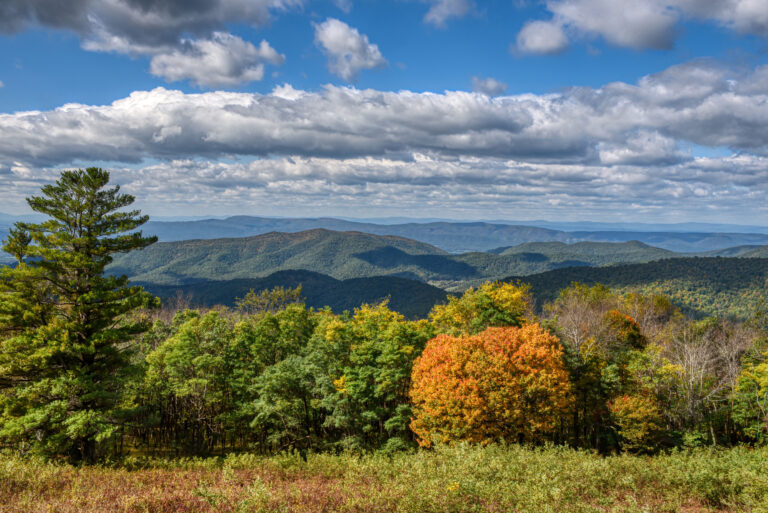 Fall in Shenandoah National Park: 10 Places to See Fall Foliage