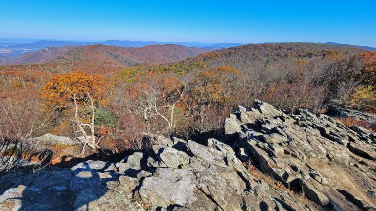 Fall in Shenandoah National Park: 10 Places to See Fall Foliage