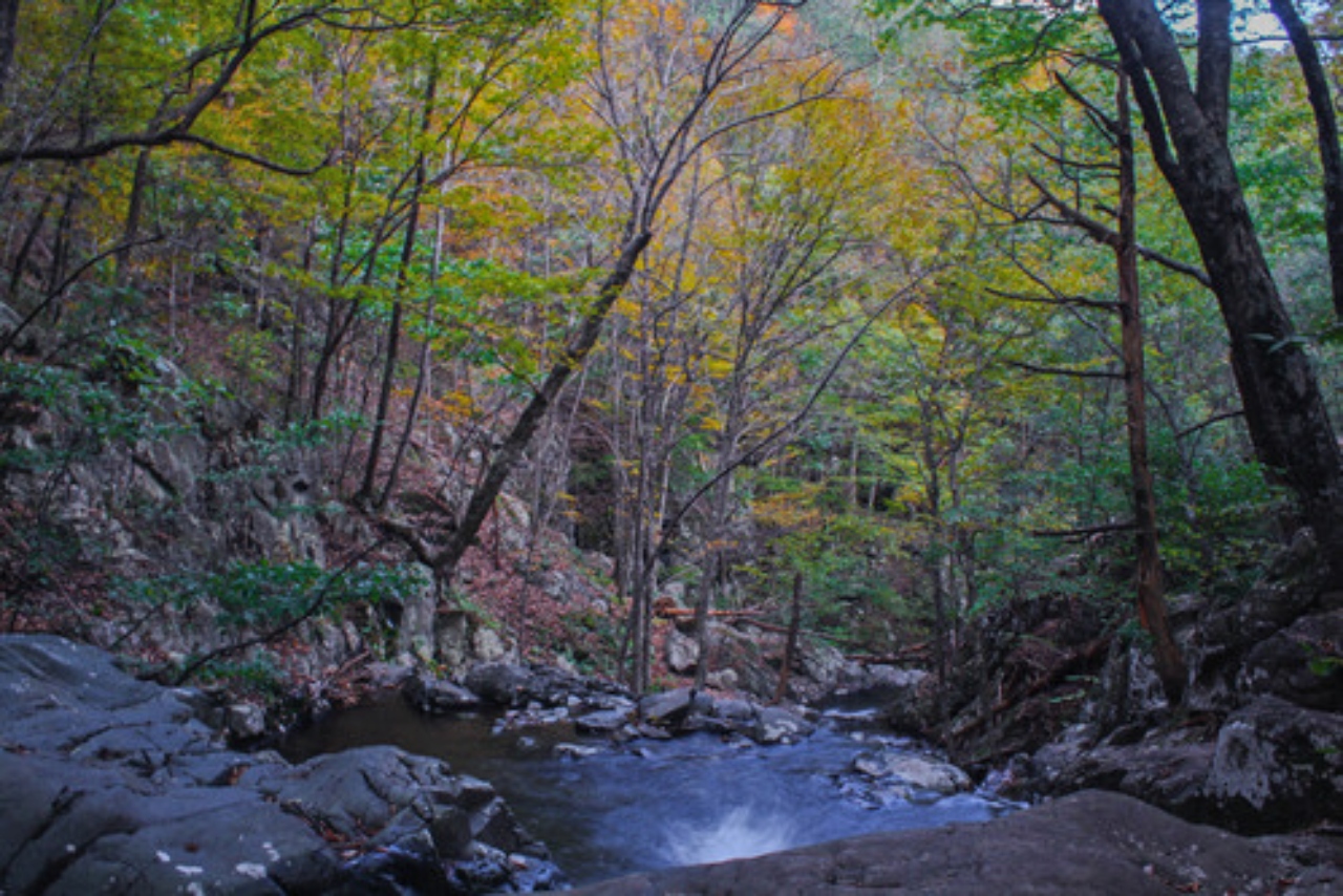 Fall in Shenandoah National Park: 10 Places to See Fall Foliage