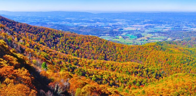 Fall in Shenandoah Valley, Virginia: 10 Places to See Fall Foliage