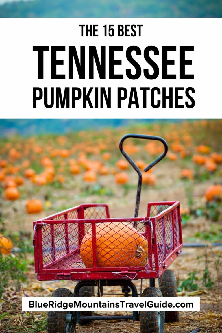 The 15 Best Pumpkin Patches in Tennessee to Visit - Blue Ridge Mountains Travel Guide