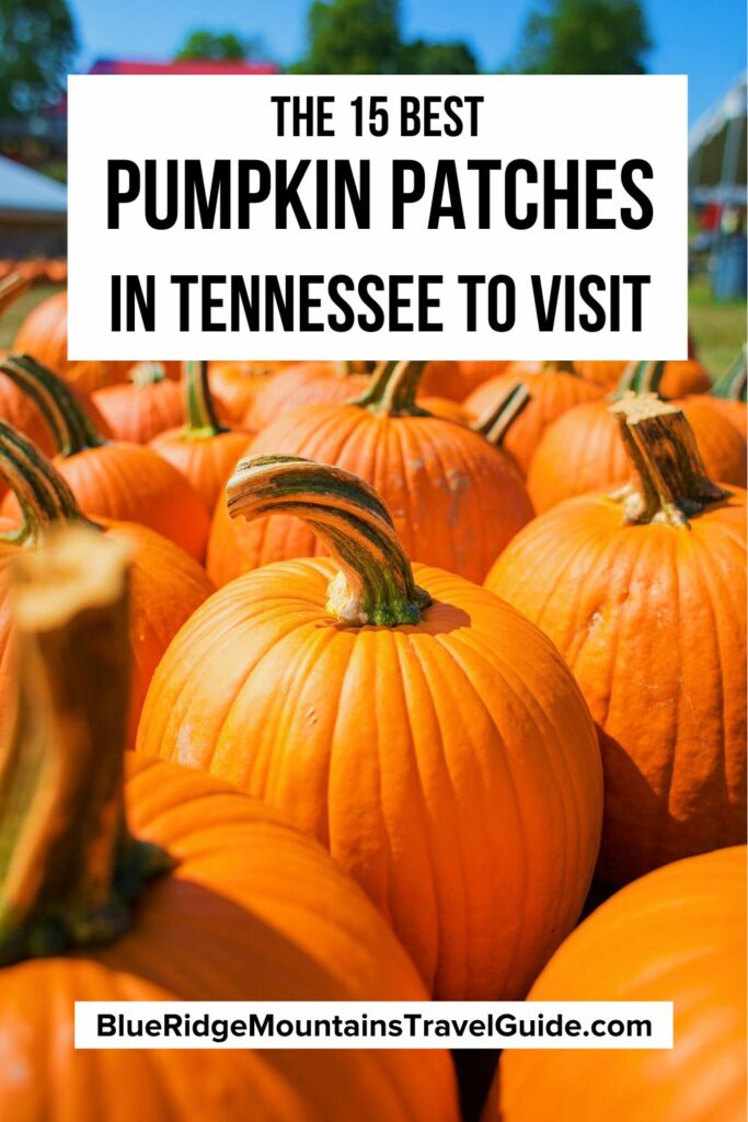 The 15 Best Pumpkin Patches in Tennessee to Visit - Blue Ridge Mountains Travel Guide