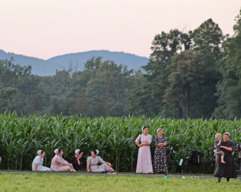 30 Facts About Mennonite History, Culture & Amish Connections - Blue ...