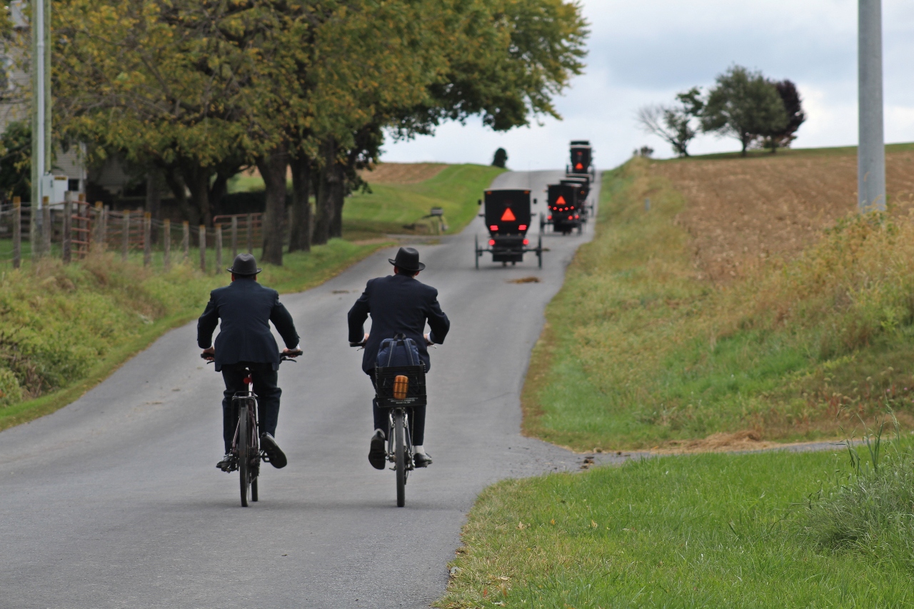 30 Facts About Mennonite History, Culture & Amish Connections - Blue ...