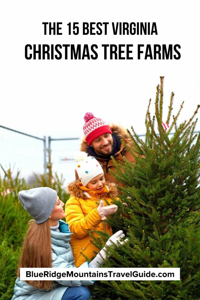 The 15 Best Christmas Tree Farms in Virginia (2024)