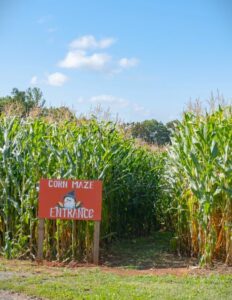The 10 Best Corn Mazes in Virginia to Visit - Blue Ridge Mountains ...