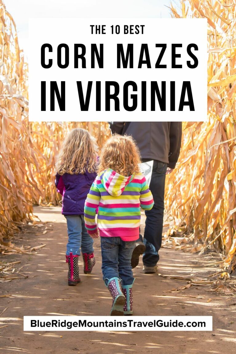 The 10 Best Corn Mazes in Virginia to Visit - Blue Ridge Mountains ...