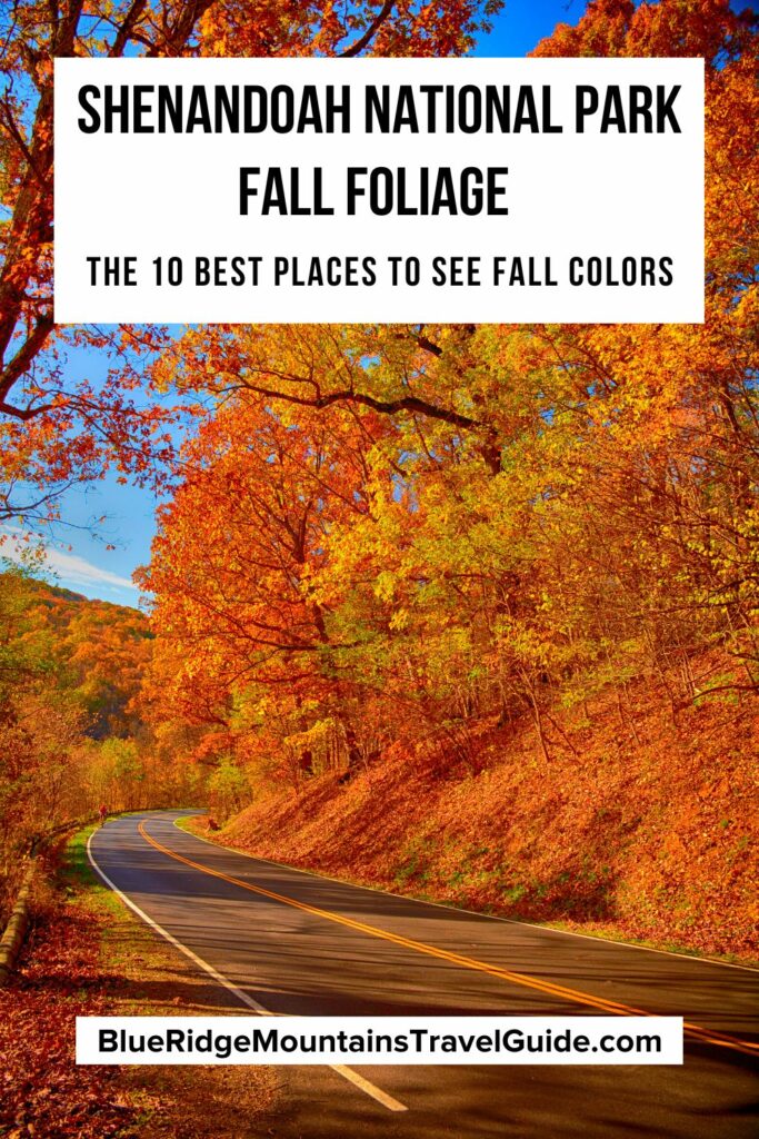 Fall in Shenandoah National Park: 10 Places to See Fall Foliage