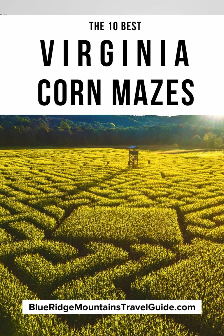 The 10 Best Corn Mazes in Virginia to Visit - Blue Ridge Mountains ...