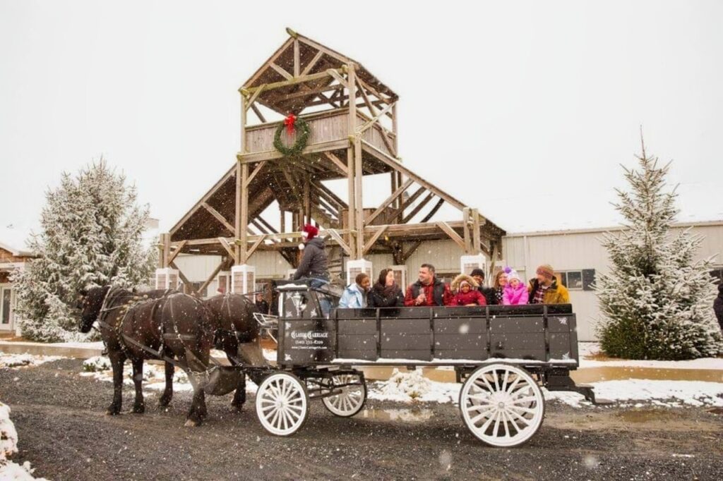 10 Festive Things to Do in Shenandoah Valley VA for Christmas - Blue ...