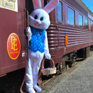 The 8 Best Train Rides in the Smoky Mountains of NC & TN - Blue Ridge ...