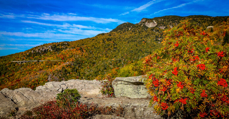 Hiking Rough Ridge on the Blue Ridge Parkway in NC - Blue Ridge ...
