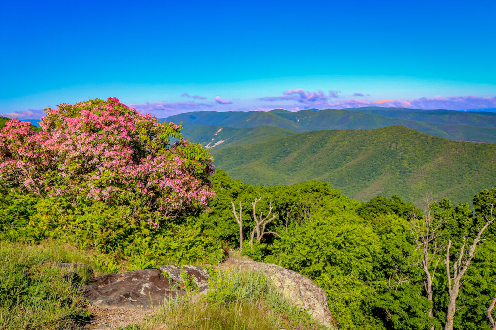 The 20 Best Blue Ridge Parkway Overlooks in Virginia - Blue Ridge ...