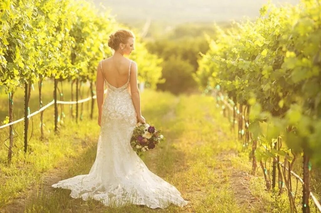 Visiting Tiger Mountain Vineyards in Tiger GA - Blue Ridge Mountains ...