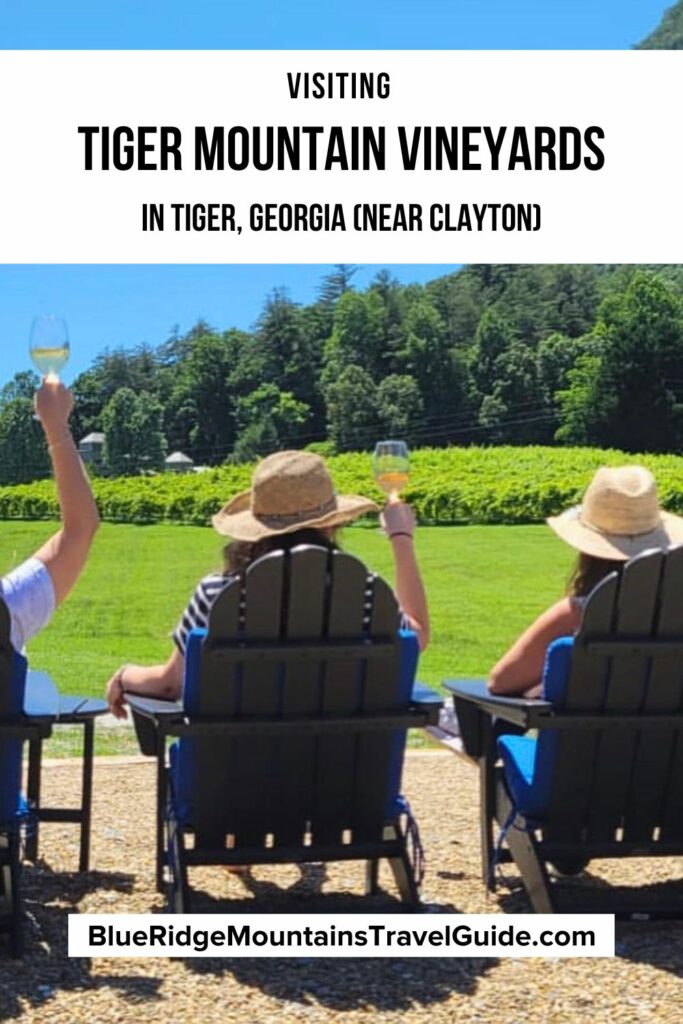Visiting Tiger Mountain Vineyards in Tiger GA - Blue Ridge Mountains ...
