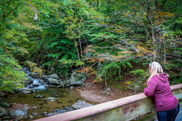 How to Get to Crabtree Falls VA (Near Lexington/Natural Bridge) - Blue ...