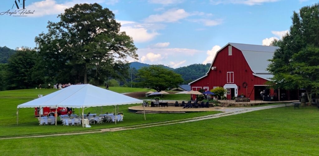 Visiting Tiger Mountain Vineyards in Tiger GA - Blue Ridge Mountains ...