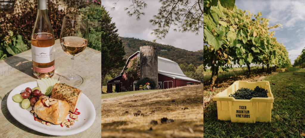 Visiting Tiger Mountain Vineyards in Tiger GA - Blue Ridge Mountains ...