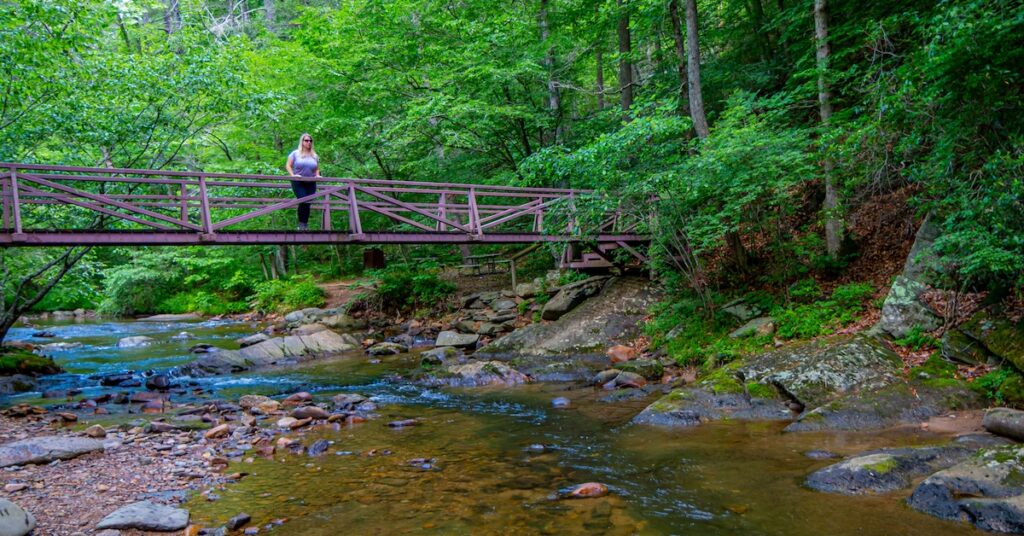 The 10 Best Hiking Trails on the Blue Ridge Parkway in Virginia