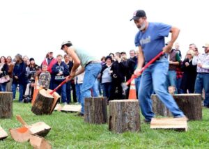 The Top 10 Fall Festivals in the Virginia Mountains (2025) - Blue Ridge ...