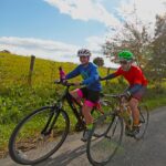 The Top 10 Fall Festivals in the Virginia Mountains (2025) - Blue Ridge ...