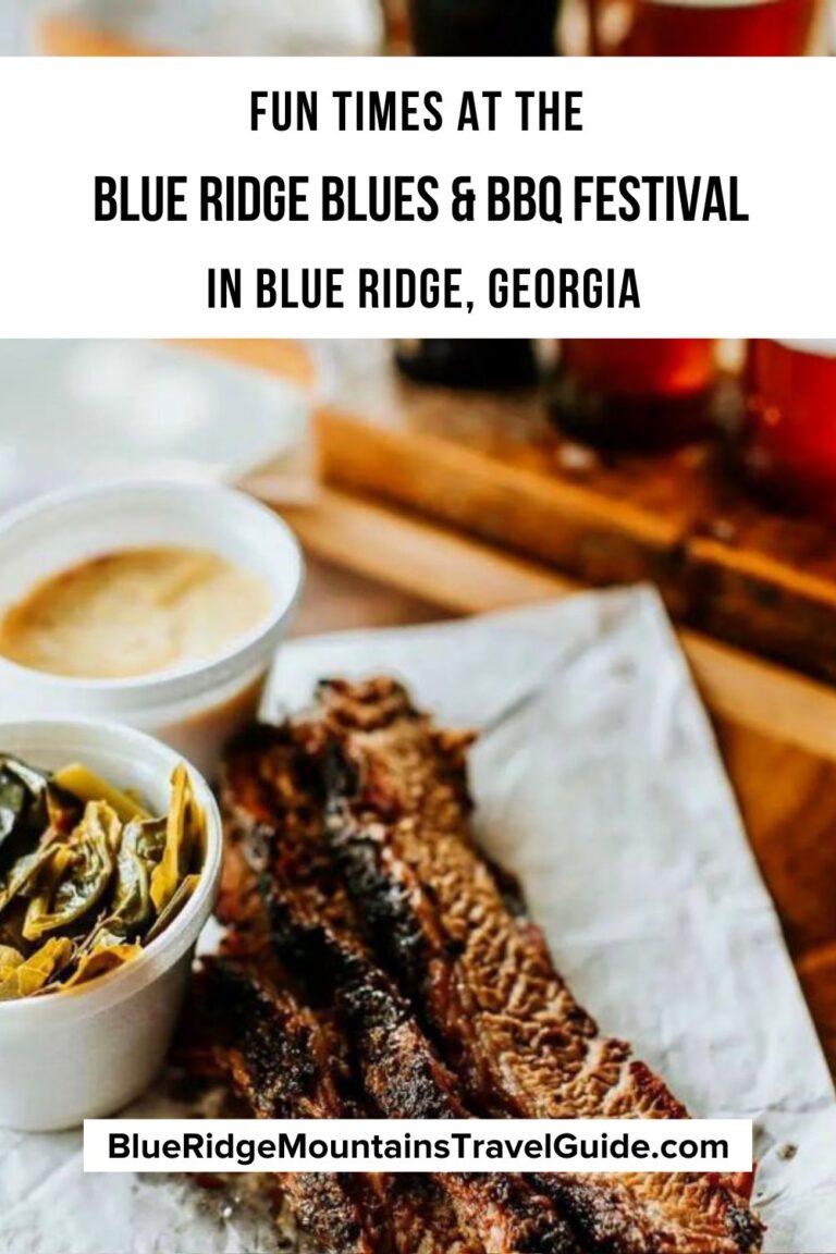 Visiting the 2025 Blue Ridge Blues & BBQ Festival in Blue Ridge GA
