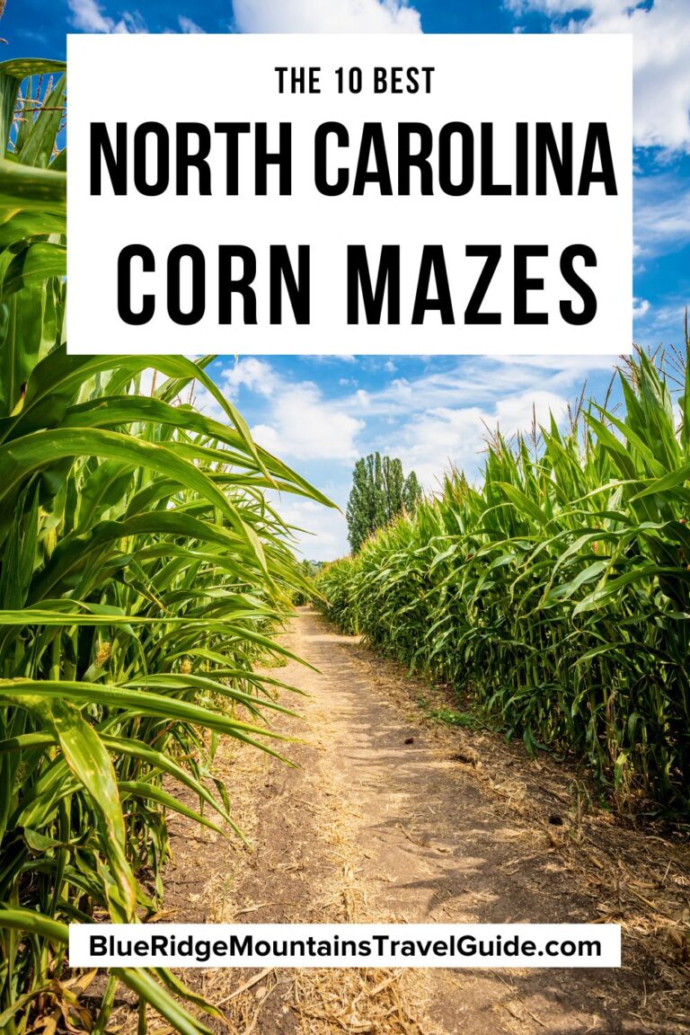 The 10 Best Corn Mazes in North Carolina to Visit - Blue Ridge ...