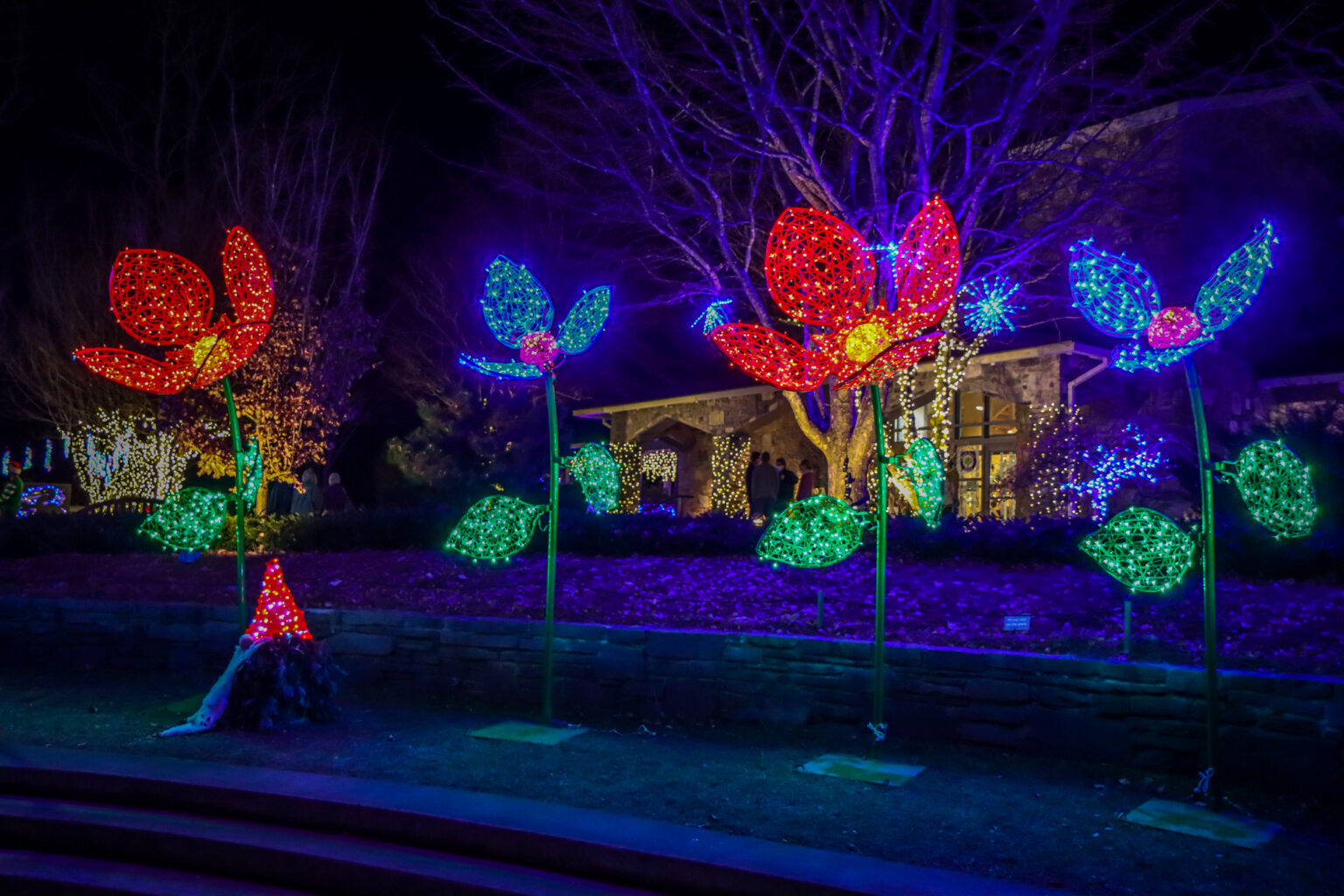 Winter Lights at the North Carolina Arboretum in Asheville NC - Blue ...
